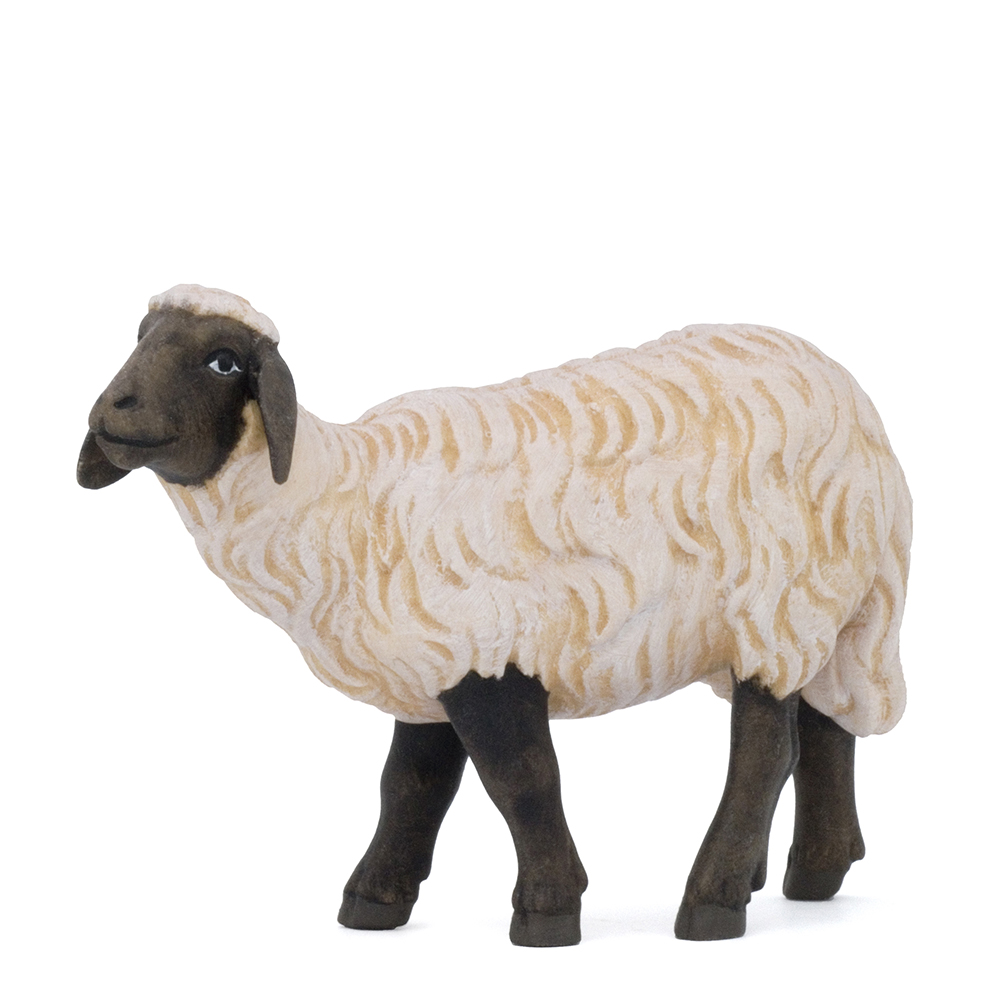 Pecora Nera Pecora Bianca